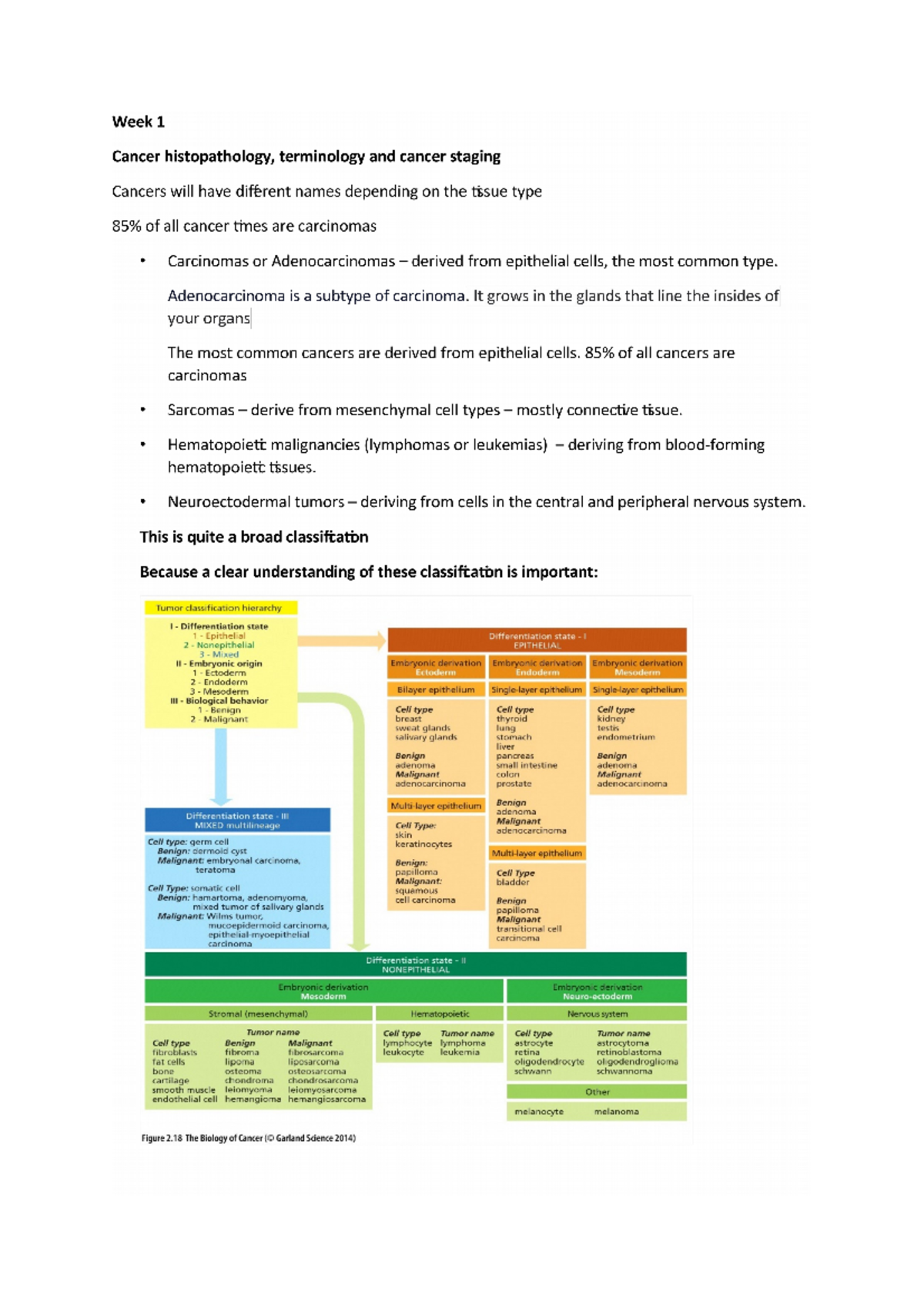 Intro to cancer - Studocu