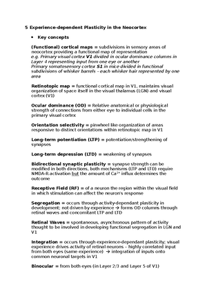 L5 Experience-dependent plasticity neocortex - 5 Experience-dependent ...