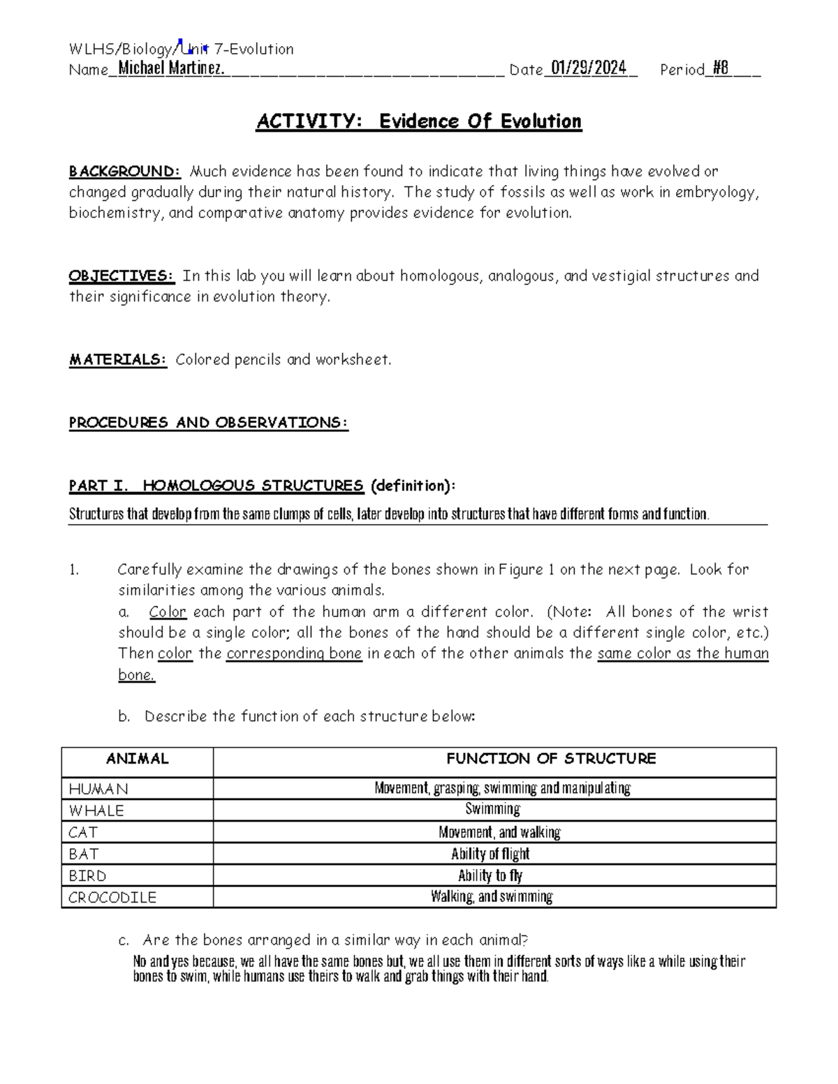 Kami Export - Michael Martinez - Evidence of Homologouswkst - WLHS ...