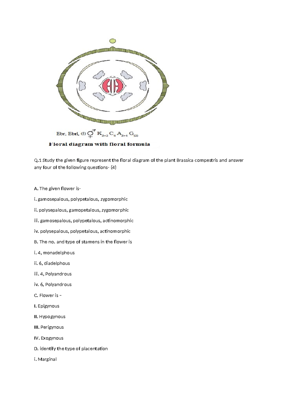 Floral-diagrams - Florals diagrams - Q Study the given figure represent ...