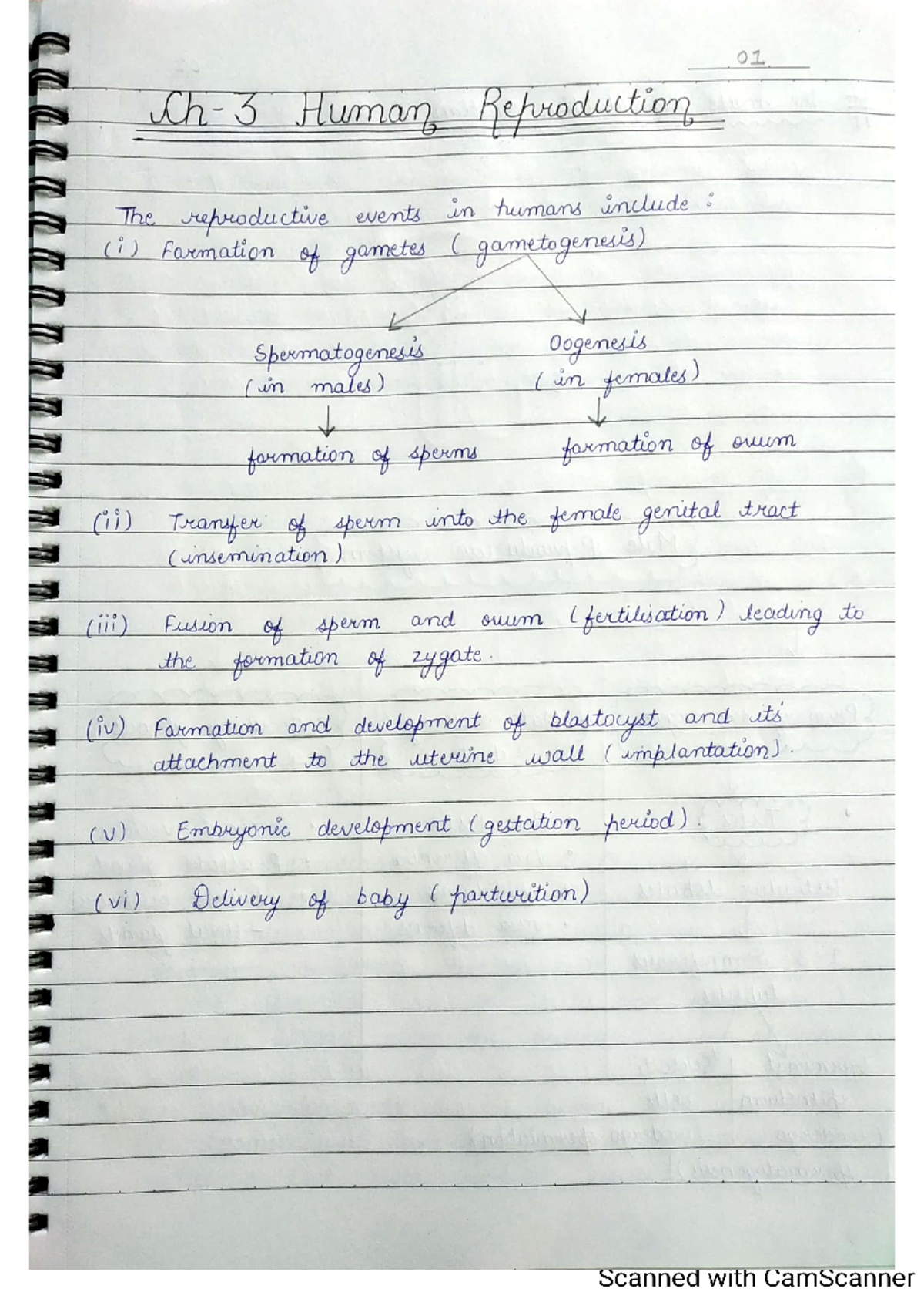 94cec53b d10a 4a4c b964 d55f8990ffd2 - 01 3 Human Reproduction The reproductive events in humans ...