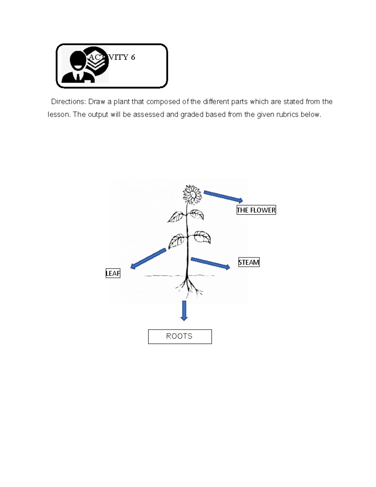Activity No. 6 in VTED - E 214 CSS 2 - ACTIVITY 6 LEAF STEAM THE FLOWER ...