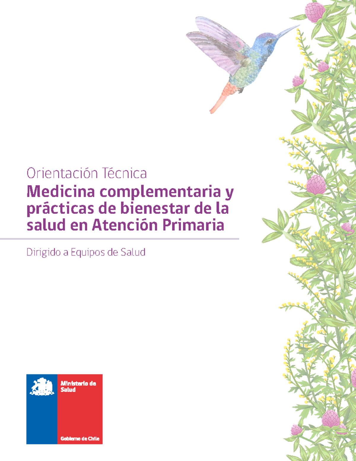 OT- Medicina- Complementaria-EN-APS 26112021 - Orientación Técnica Medicina complementaria y ...