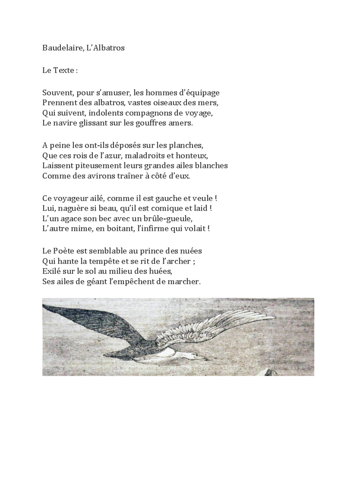 Lalbatros etude lineeaire - Baudelaire, L’Albatros Le Texte : Souvent ...