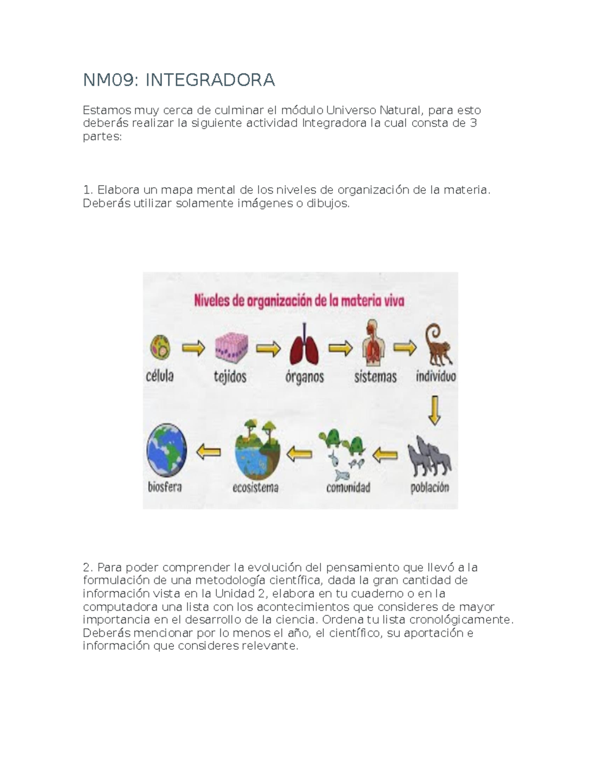 NM09 Integradora - NM09: INTEGRADORA Estamos muy cerca de culminar el ...