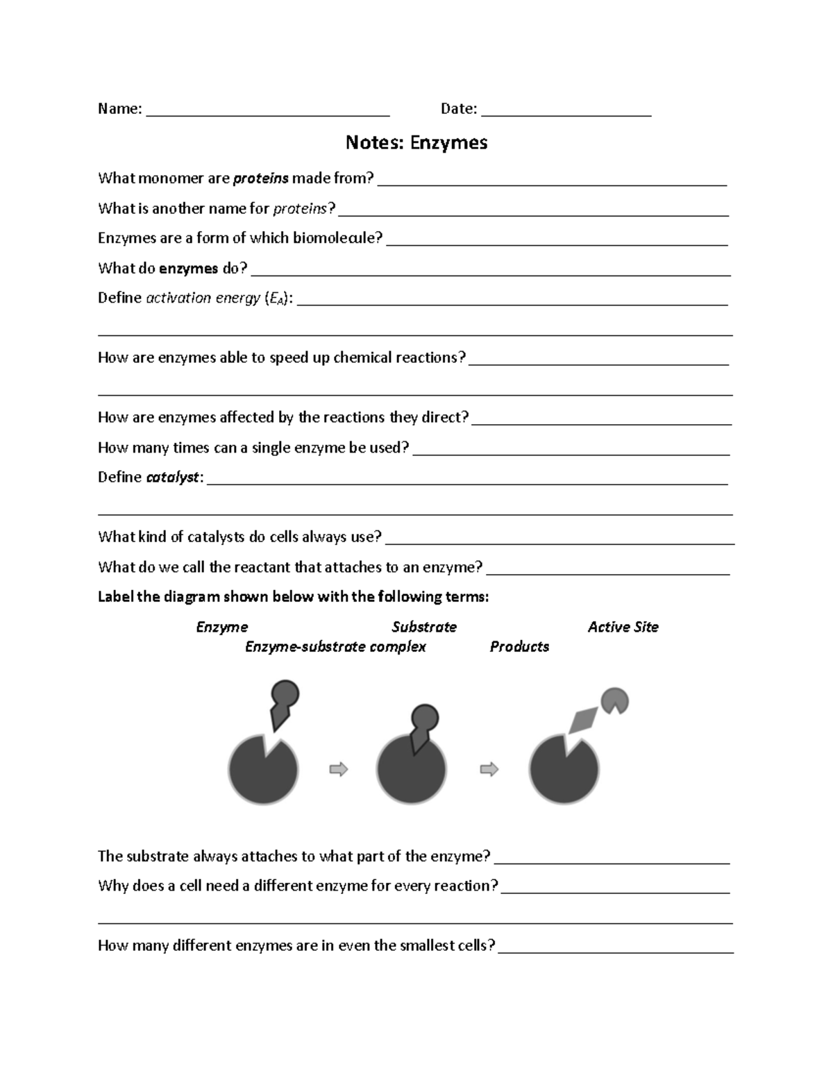 3 enzymes notes - Name: ______________________________ Date ...