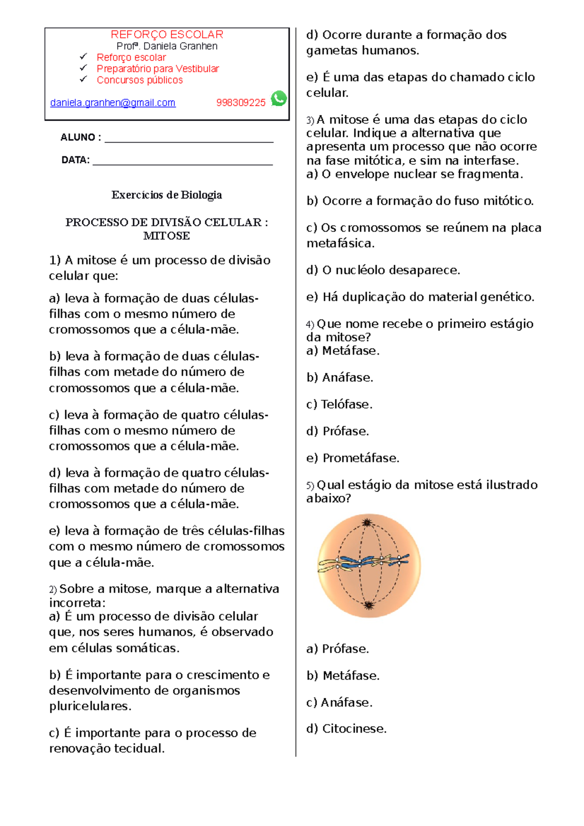 Divisão Celular. Mitose - REFORÇO ESCOLAR Profa. Daniela Granhen ...