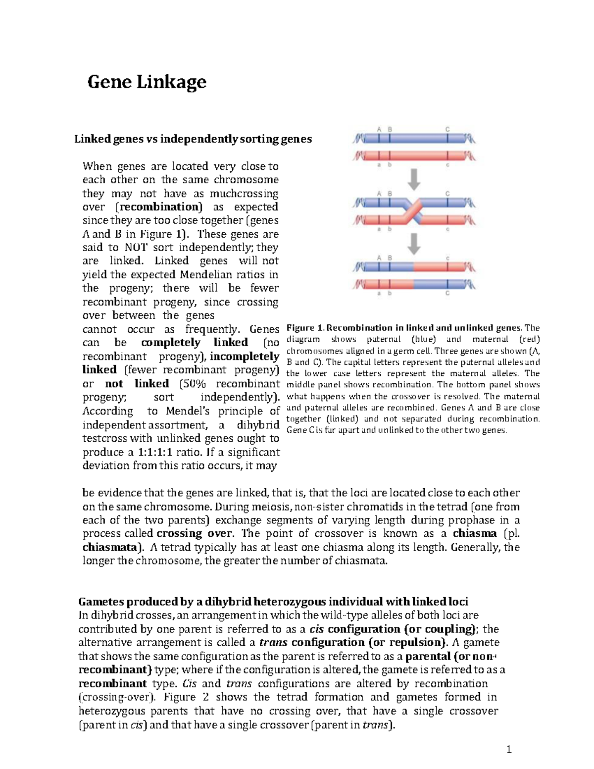 Linkage Lab - Notes - Gene Linkage Linked genes vs independently ...