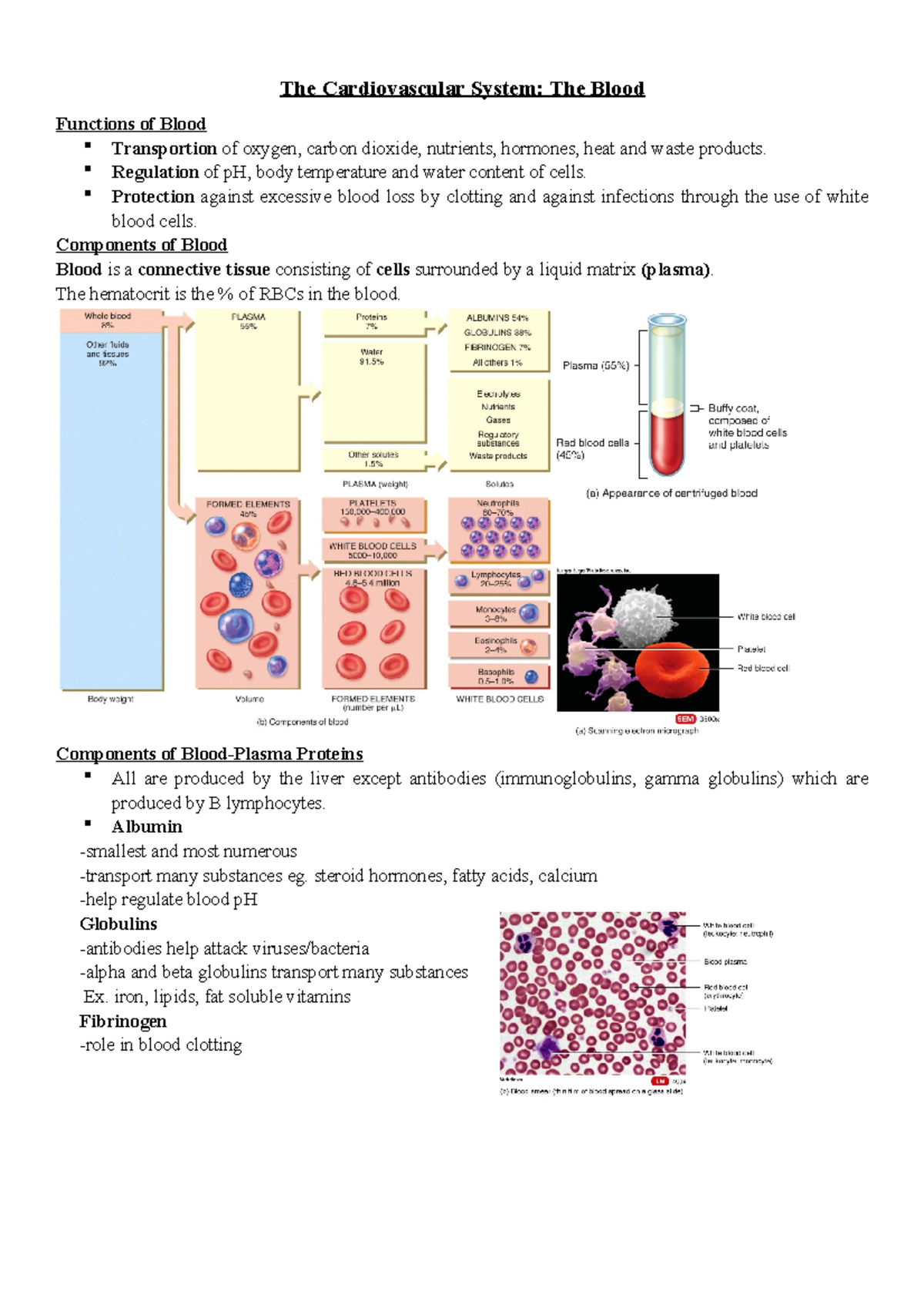 PPT notes 1 Blood, chapter 1 - The Cardiovascular System: The Blood ...