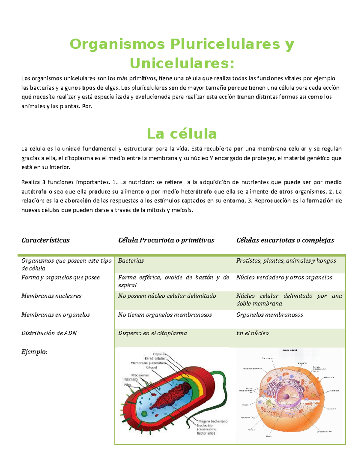 Tarea Larga para Primero Básico - Organismos Pluricelulares y ...