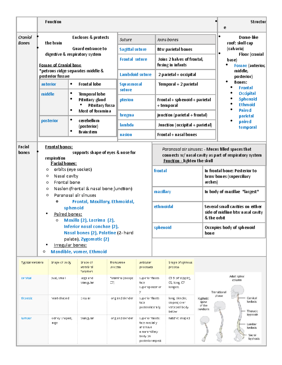 Axial skeleton notes - Function Structur e Cranial Bones Encloses ...
