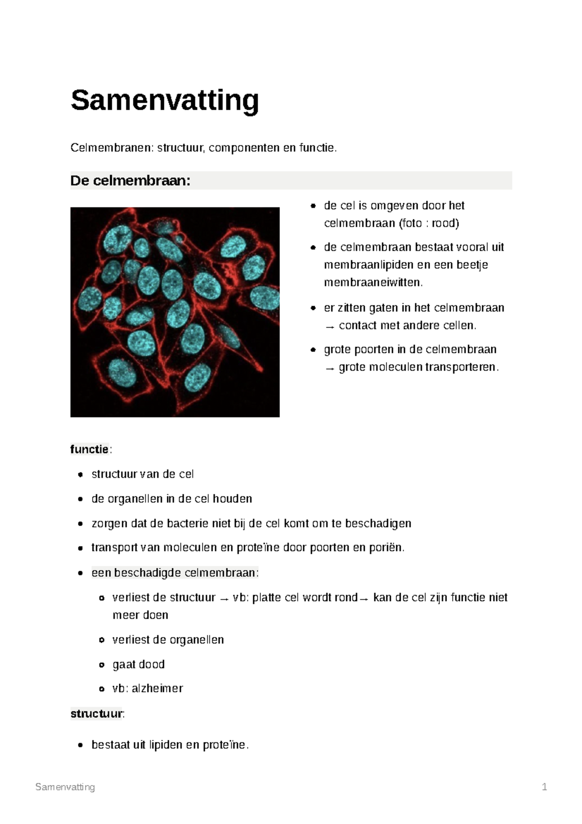 Notion A3 - summarie A3 - Samenvatting Celmembranen: structuur ...