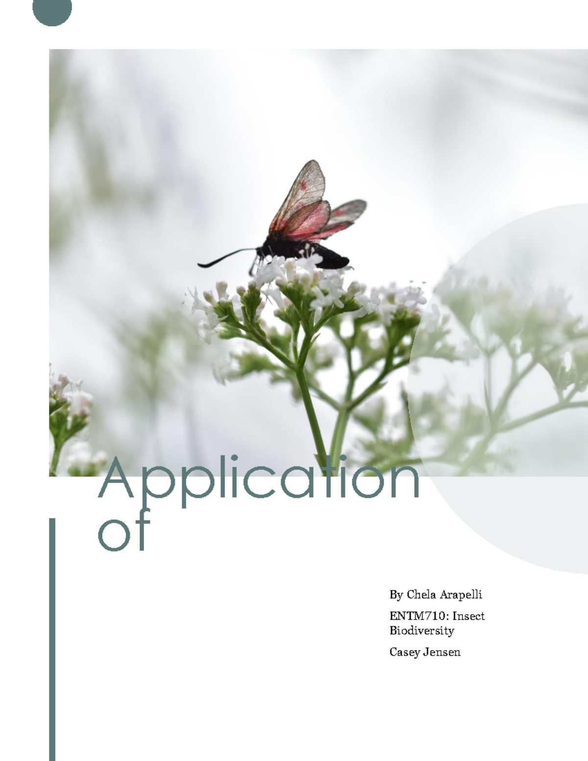 Student report - GRTG - English - Application of By Chela Arapelli ...