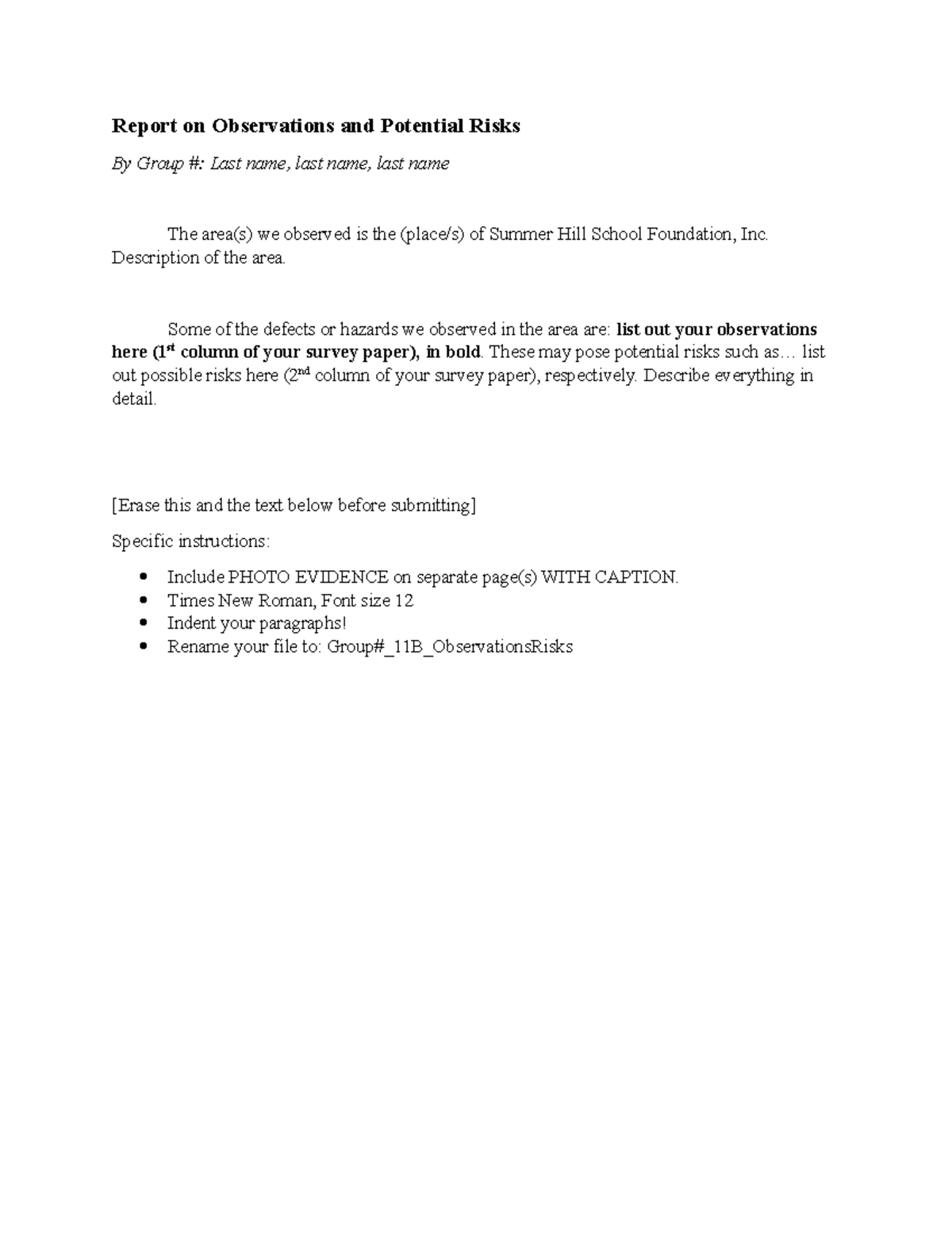 Template Report on Observations and Potential Risks - Report on ...