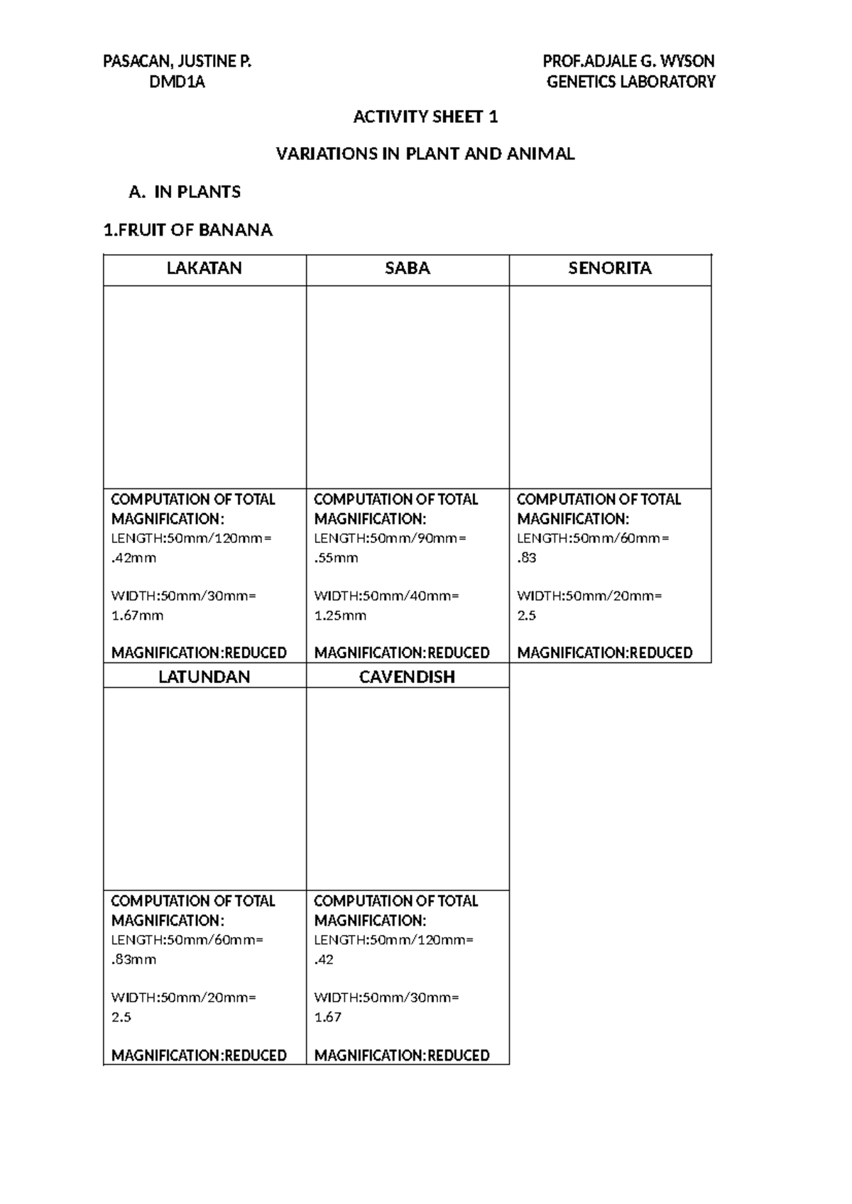 Activity Sheet 1 - DMD1A GENETICS LABORATORY ACTIVITY SHEET 1 ...