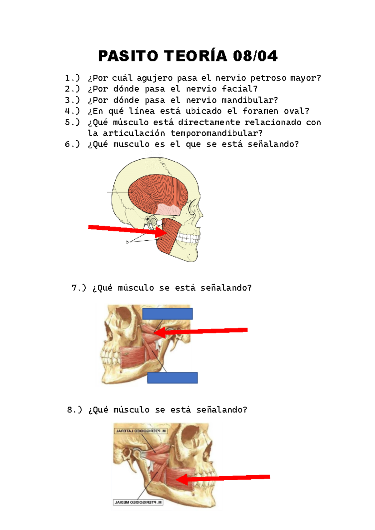Pasito TeoríA 08 - Anatomía Humana - PASITO TEORÍA 08/ 1.) ¿Por cuál ...
