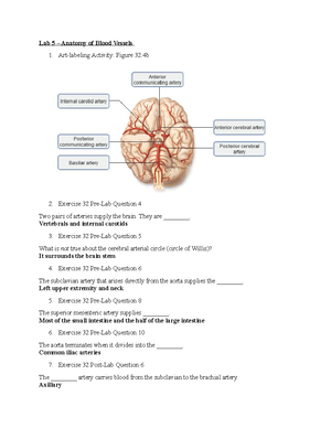 Lab 2 Eye, Ear and Endocrine System - Lab 2: Eye, Ear and Endocrine ...