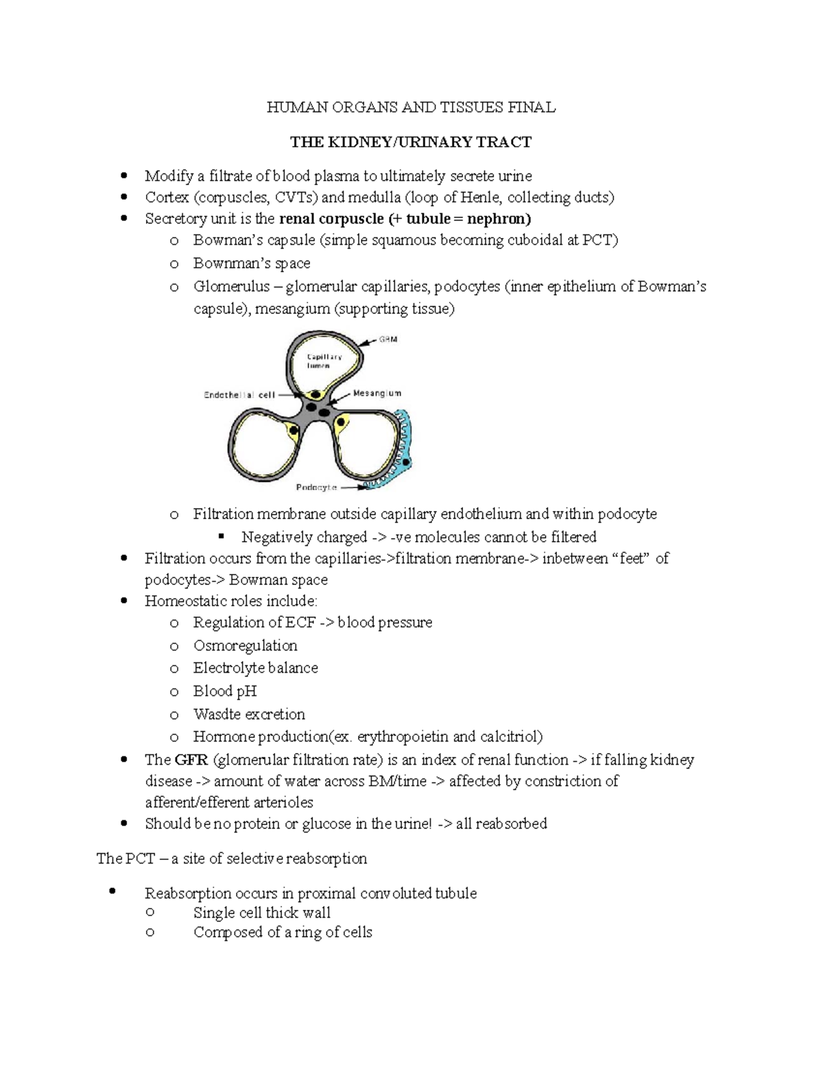 Human Organs AND Tissues Final - HUMAN ORGANS AND TISSUES FINAL THE ...