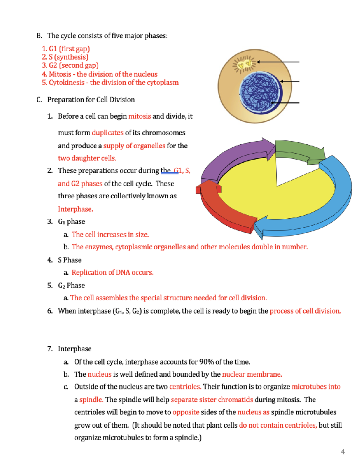 Cell Growth and Division - Studocu