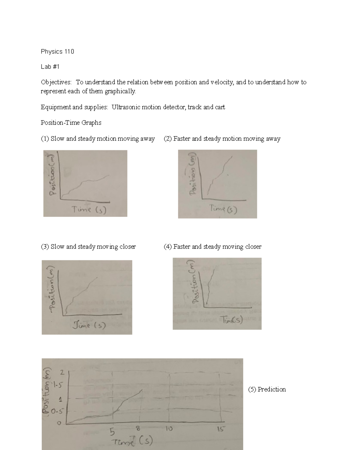Physics 110 Lab 1 - Honestly didn't score that much, but please you ...