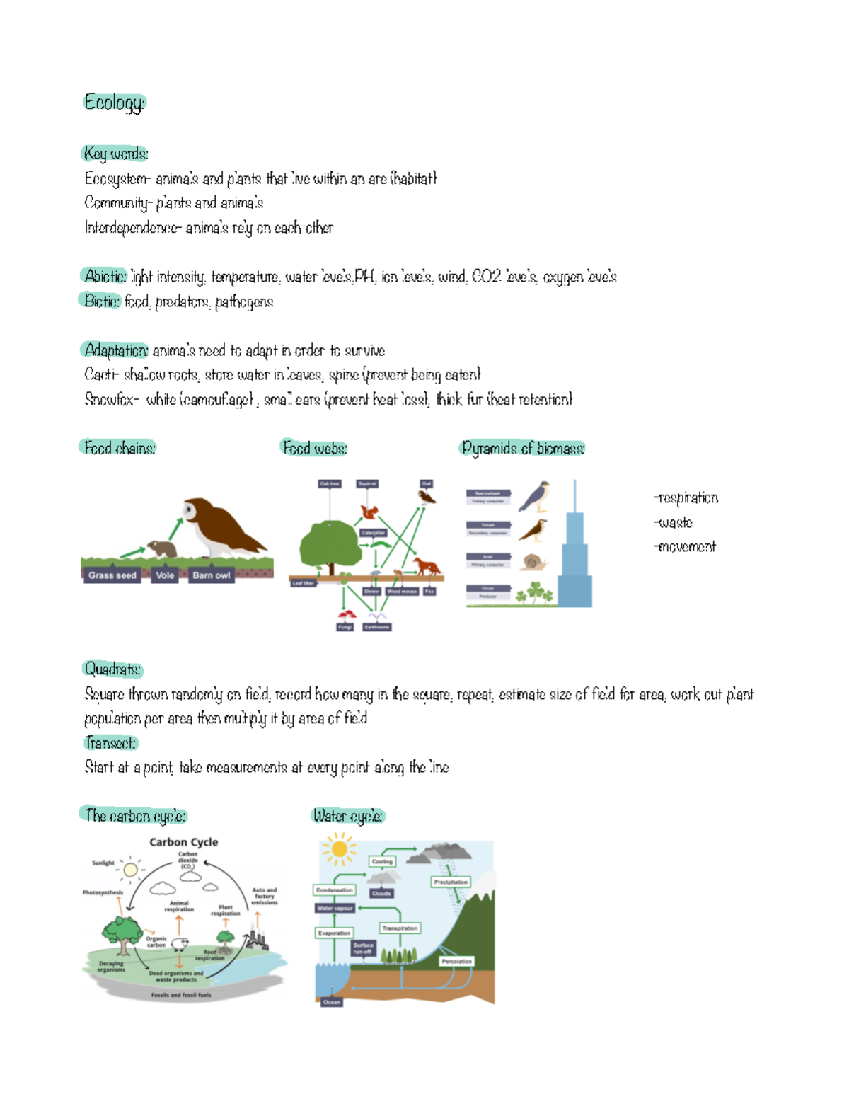 GCSE AQA Biology Unit 7 ecology grades 9-1 - Ecology: Key words ...