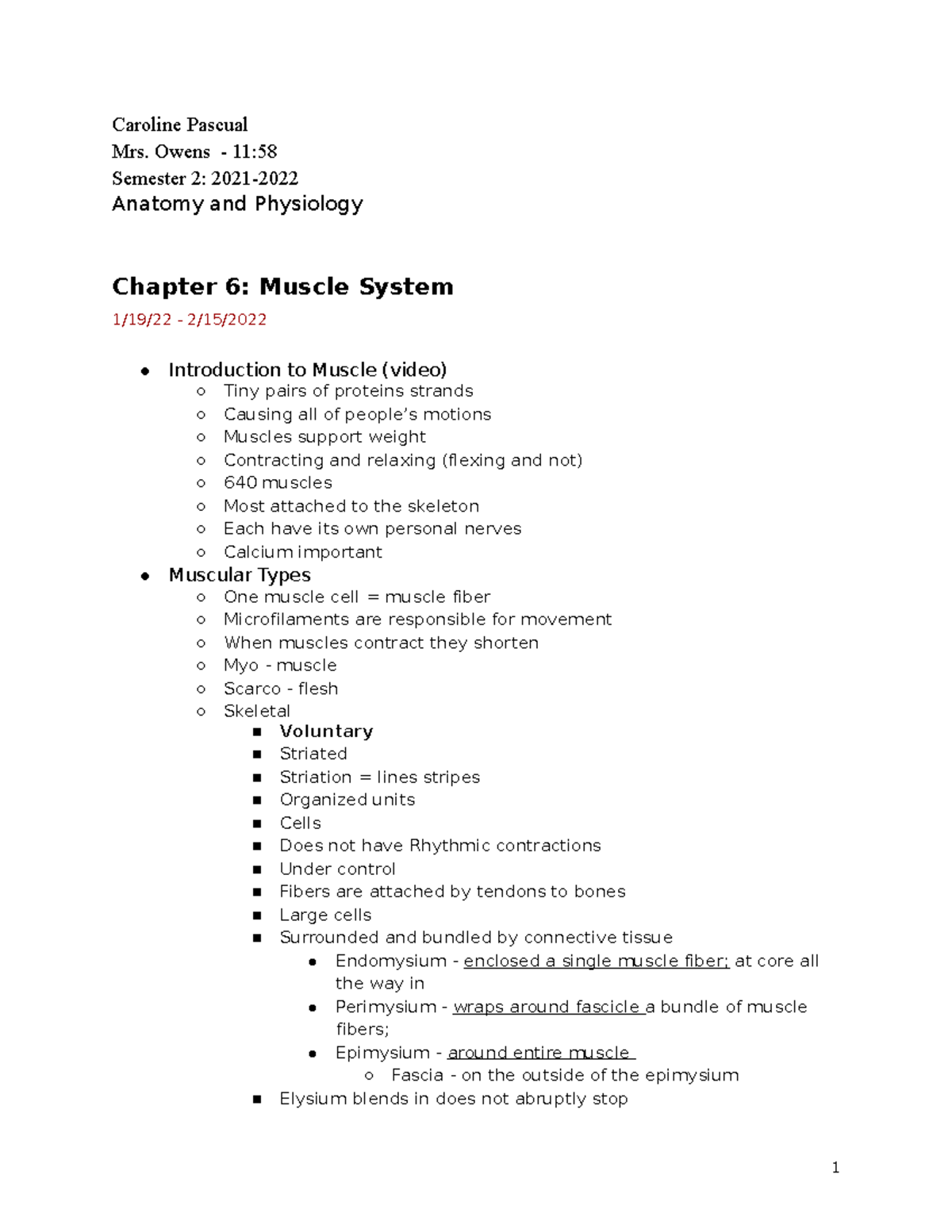 Anatomy and Physiology Notes S2 - Caroline Pascual Mrs. Owens - 11 ...