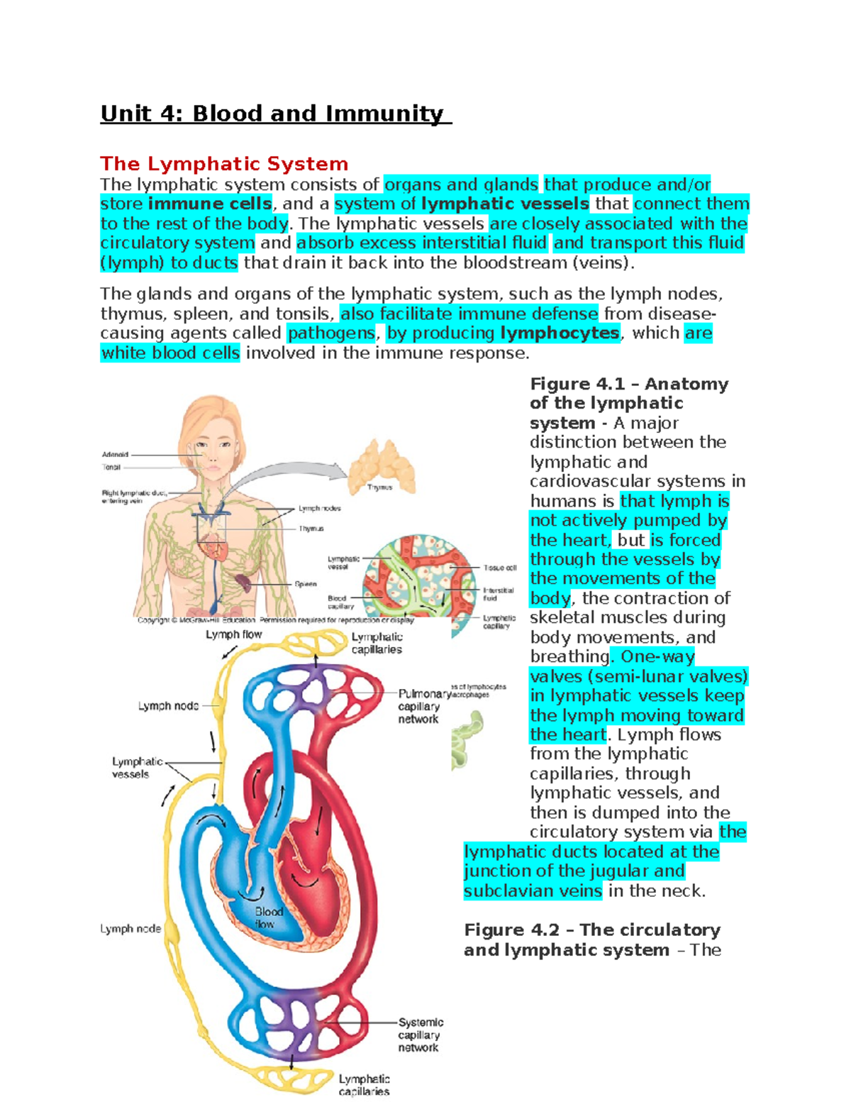 Unit 4 - Blood and Immunity - Unit 4: Blood and Immunity The Lymphatic ...