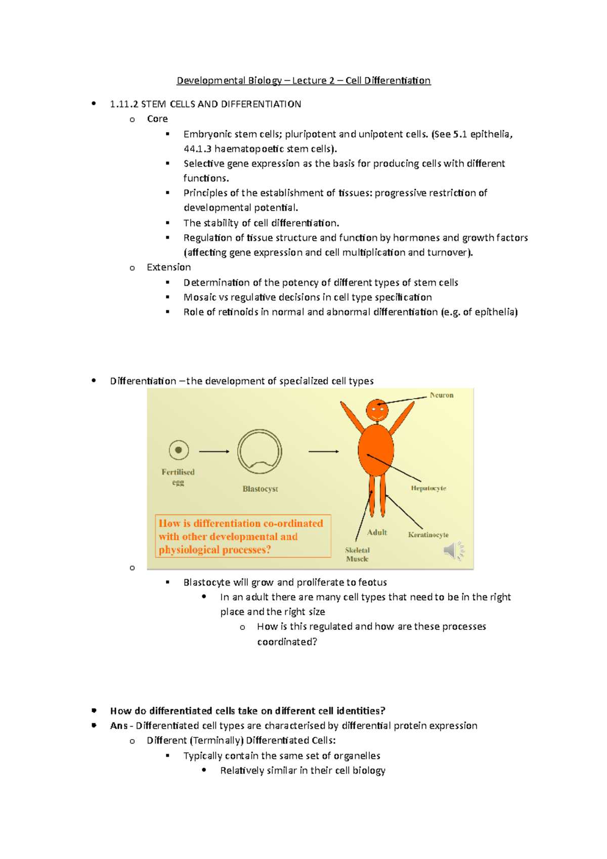 Developmental Biology – Lecture 2 – Cell Differentiation ...