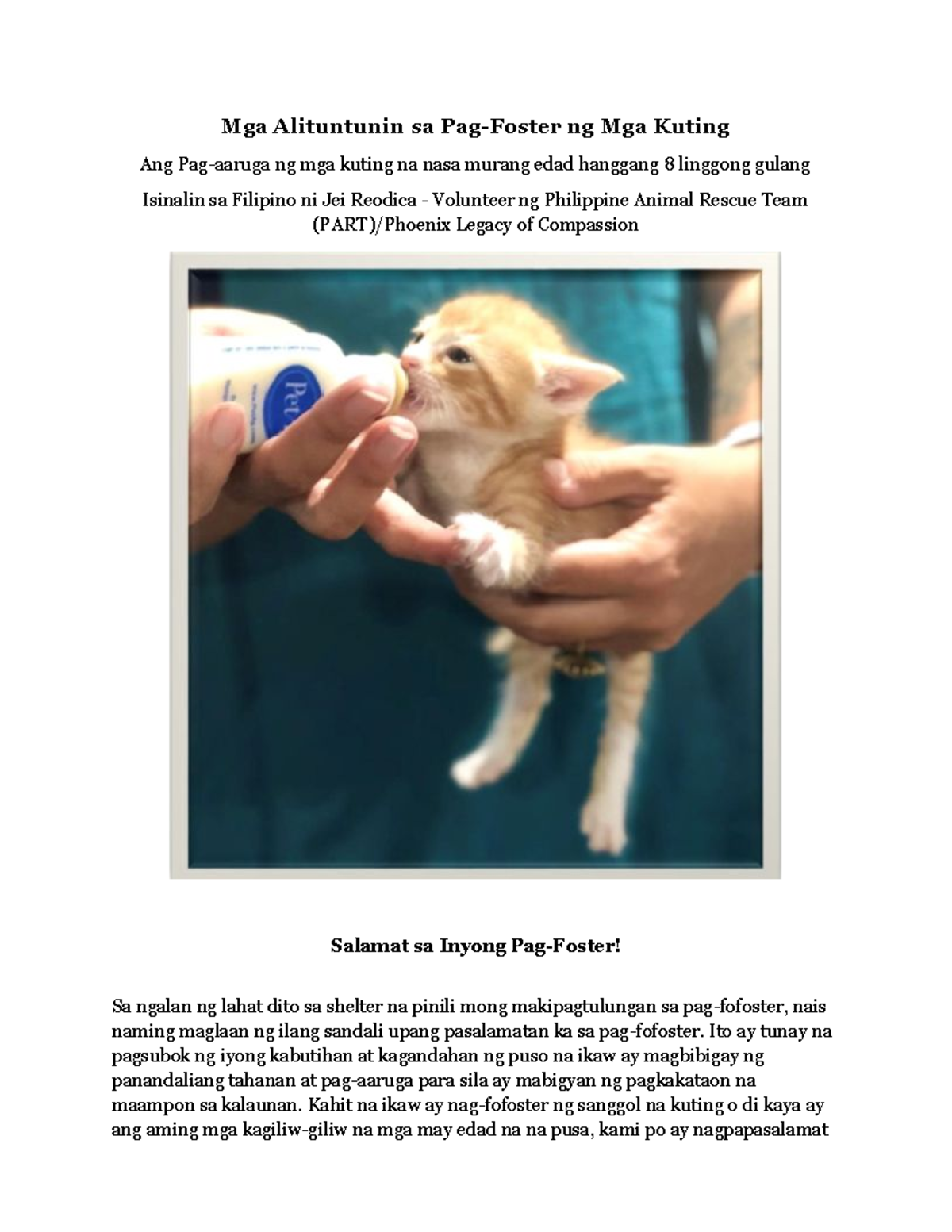 Pag-aalaga sa bagong panganak na mga kuting - Mga Alituntunin sa Pag ...