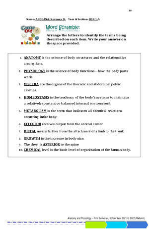 Anaphy Heart - a. Anatomy and Physiology The Cardiovascular System ...