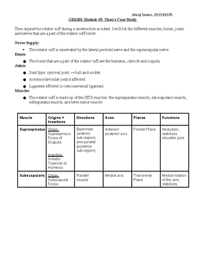 Case Study 3 Anatomical Report for Rotator Cuff Tear (Theo) - Provides sensation to the lateral ...