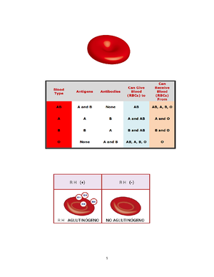 Shock Medications - Notes - Medication Action Type of Shock Indications ...