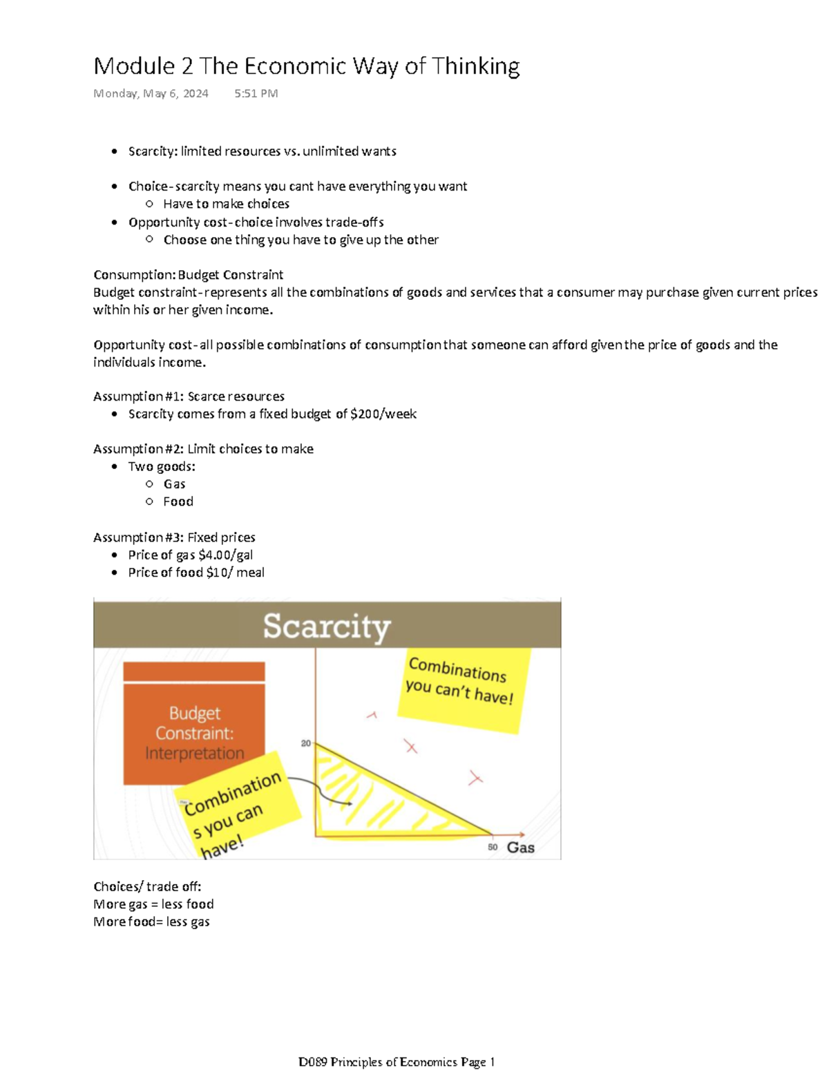 Module 2 The Economic Way of Thinking - Scarcity: limited resources vs ...