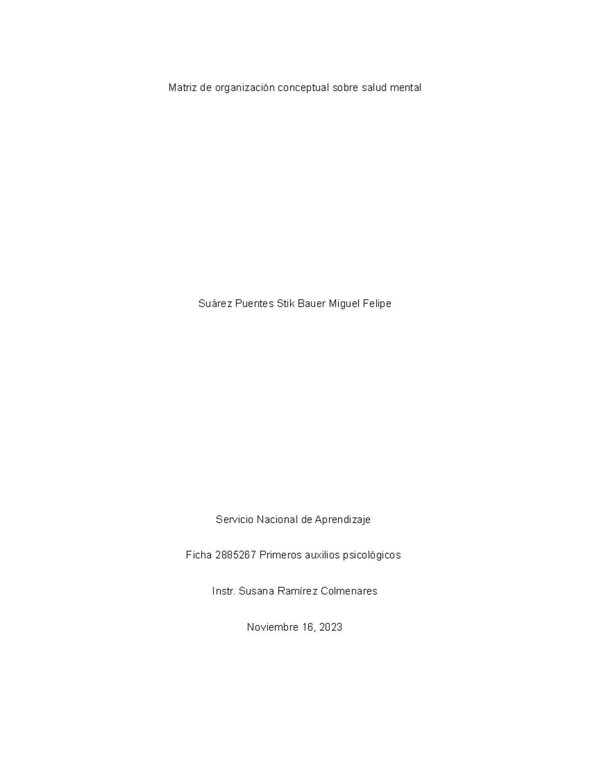 Matriz de organización conceptual sobre salud mental - Matriz de ...