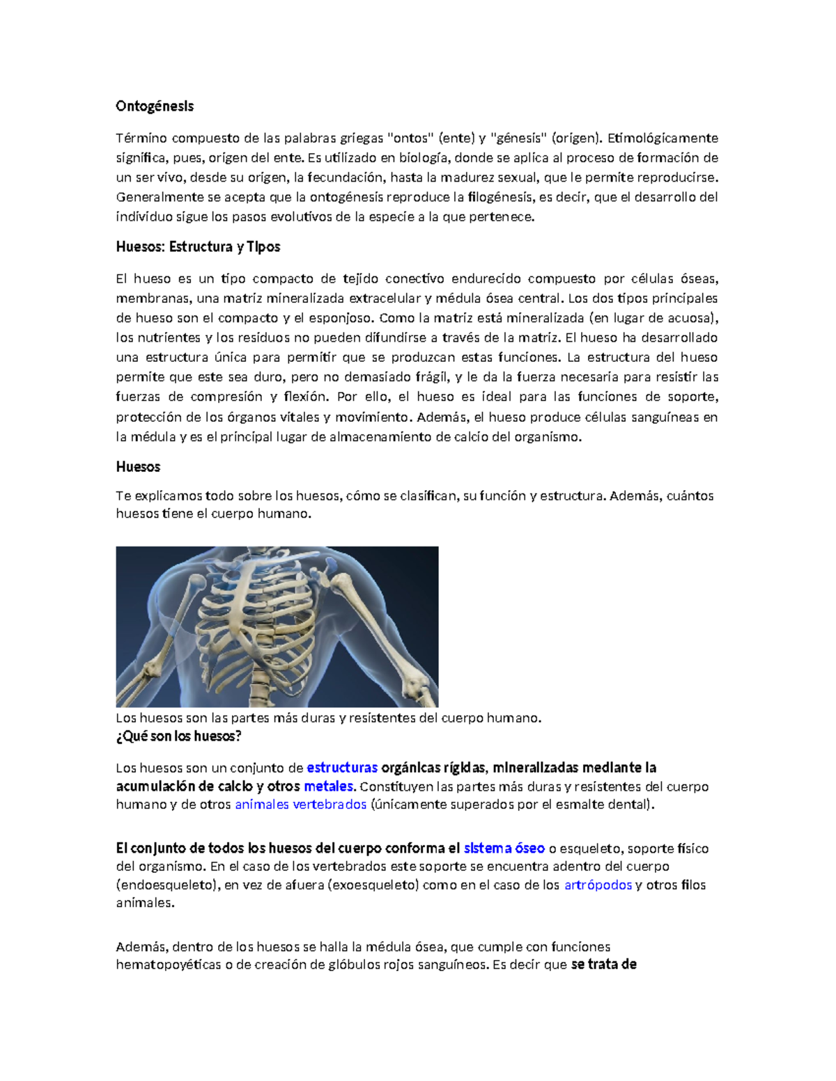 Taller tejido oseo - Ontogénesis Término compuesto de las palabras ...