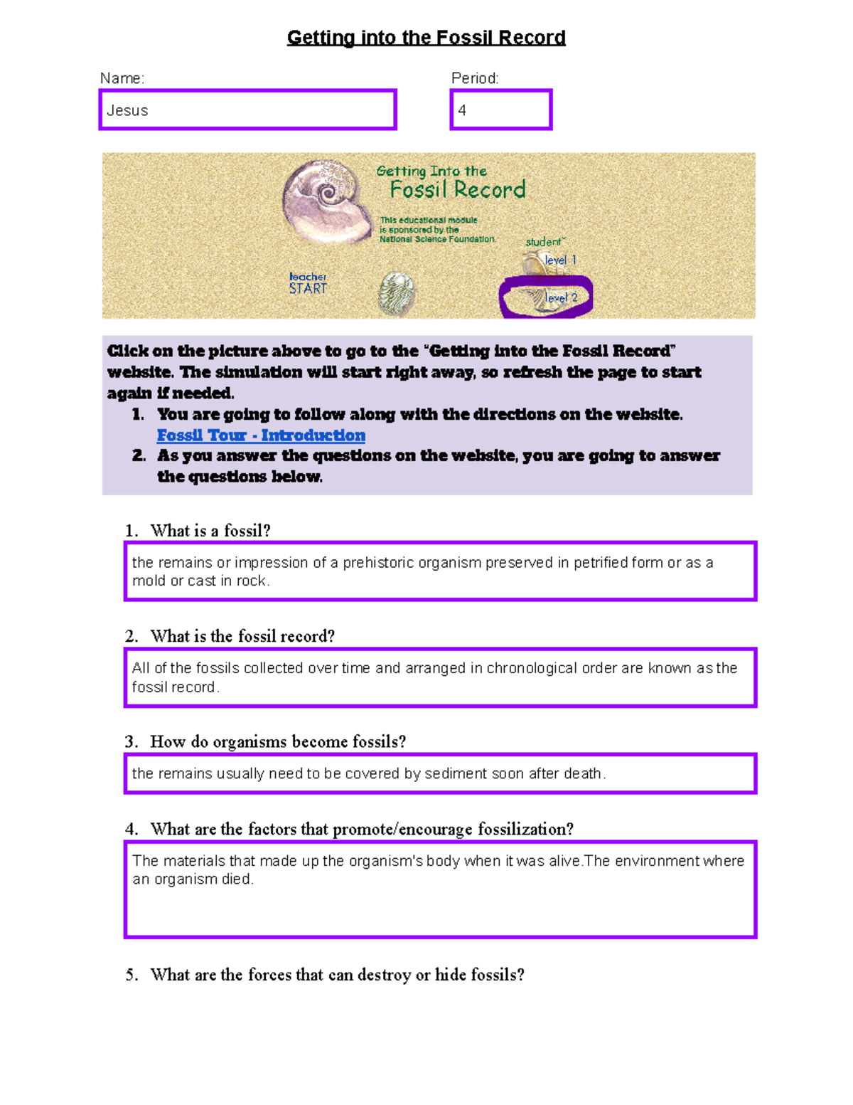 Getting Into the Fossil Record Questions - Getting into the Fossil ...