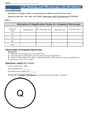 BIO 181 IC Ch 5 - Worksheet - BIO 181 General Biology Module 1 In Class ...