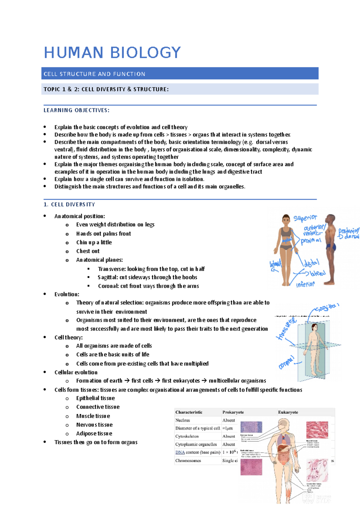 Human Bio Notes - HUMAN BIOLOGY CELL STRUCTURE AND FUNCTION TOPIC 1 & 2 ...