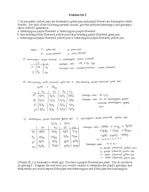 Non Mendelian Genetics Activity - Studocu