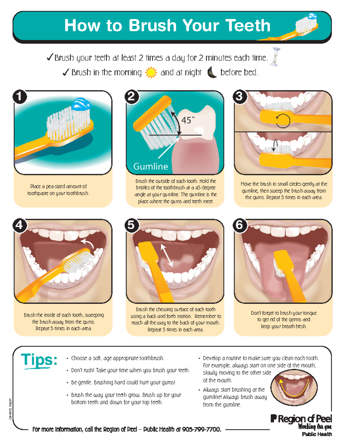 Brush-floss - Step by step guide. - ####### Brush your teeth at least 2 ...