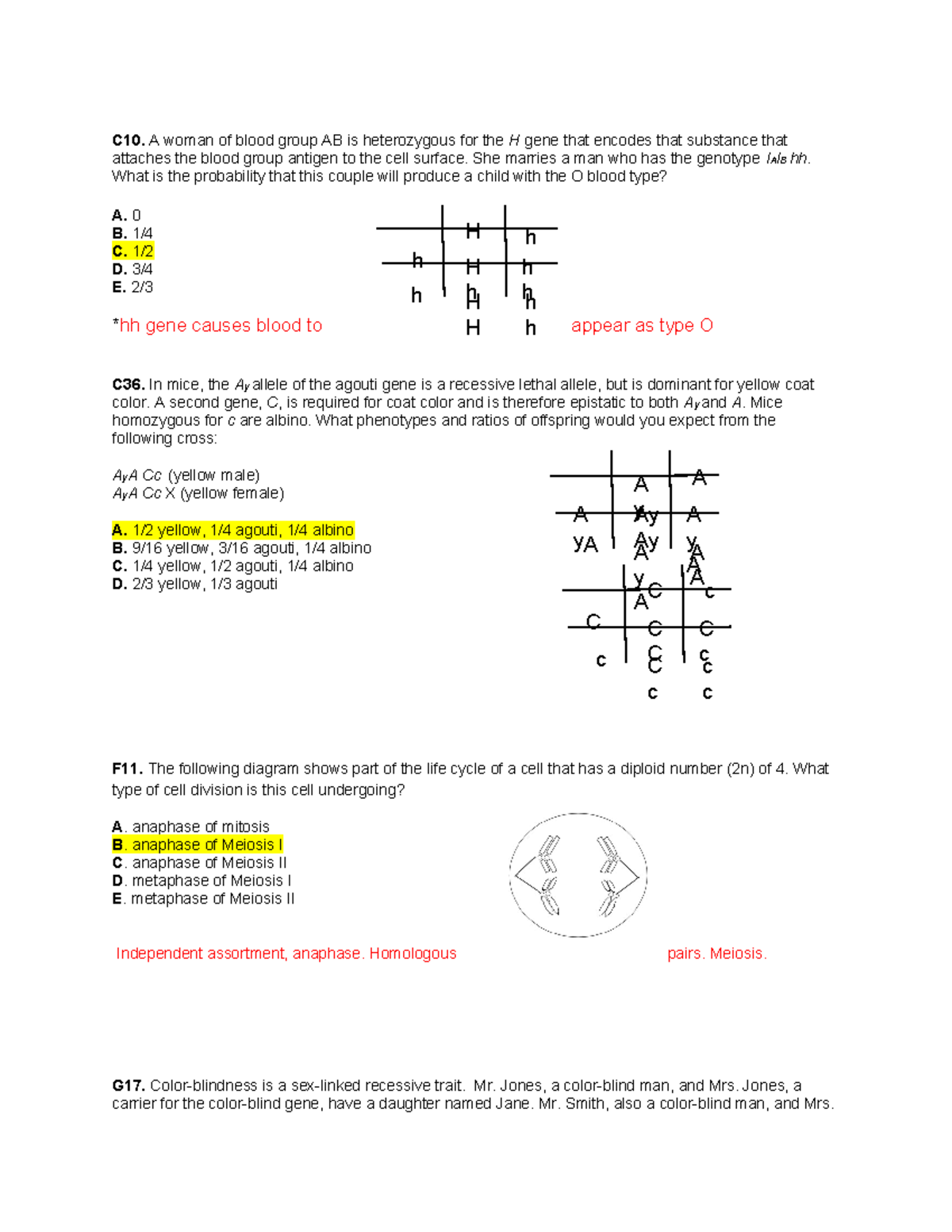 Problem Sets Genetics - C10. A woman of blood group AB is heterozygous ...
