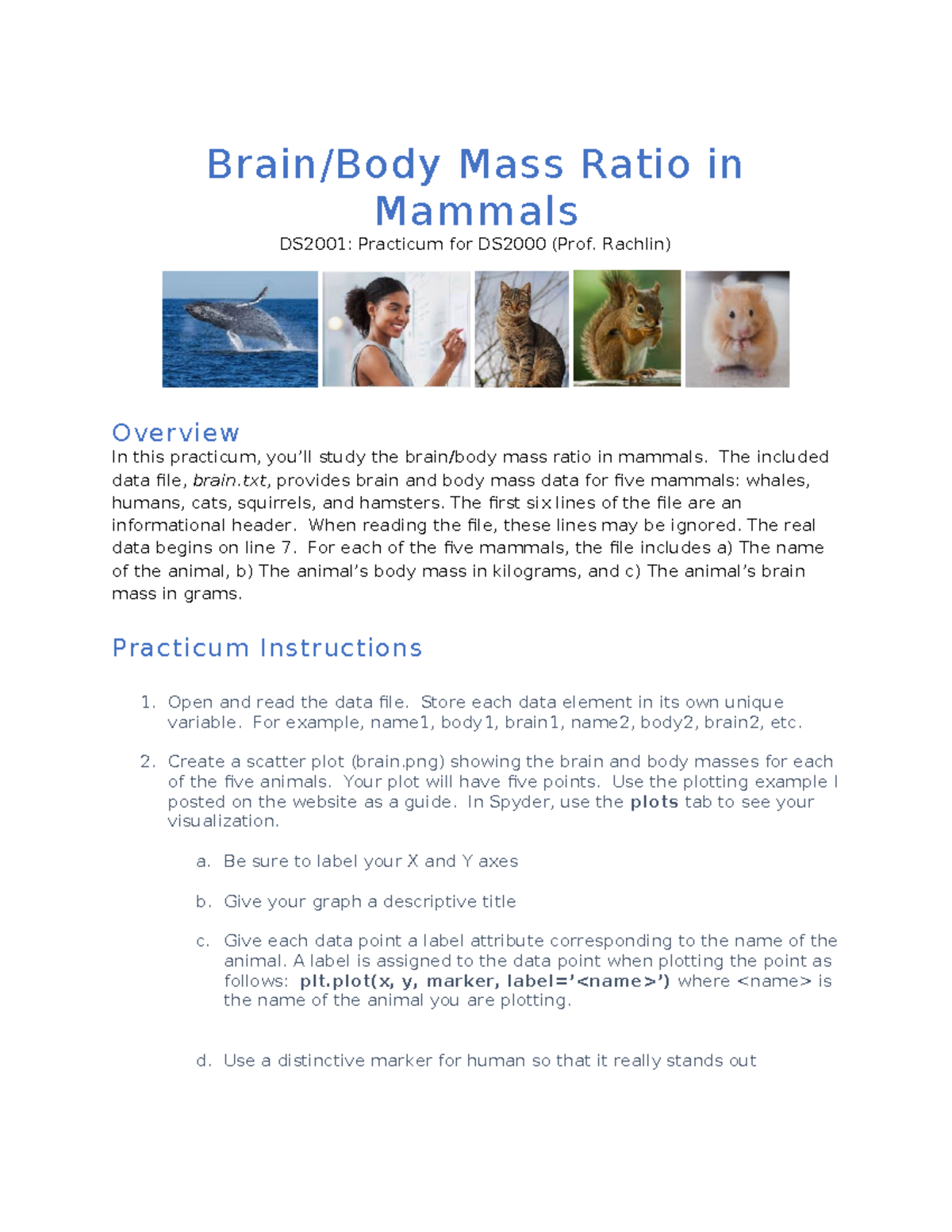 Brain/Body Mass Homework - Brain/Body Mass Ratio in Mammals DS2001 ...
