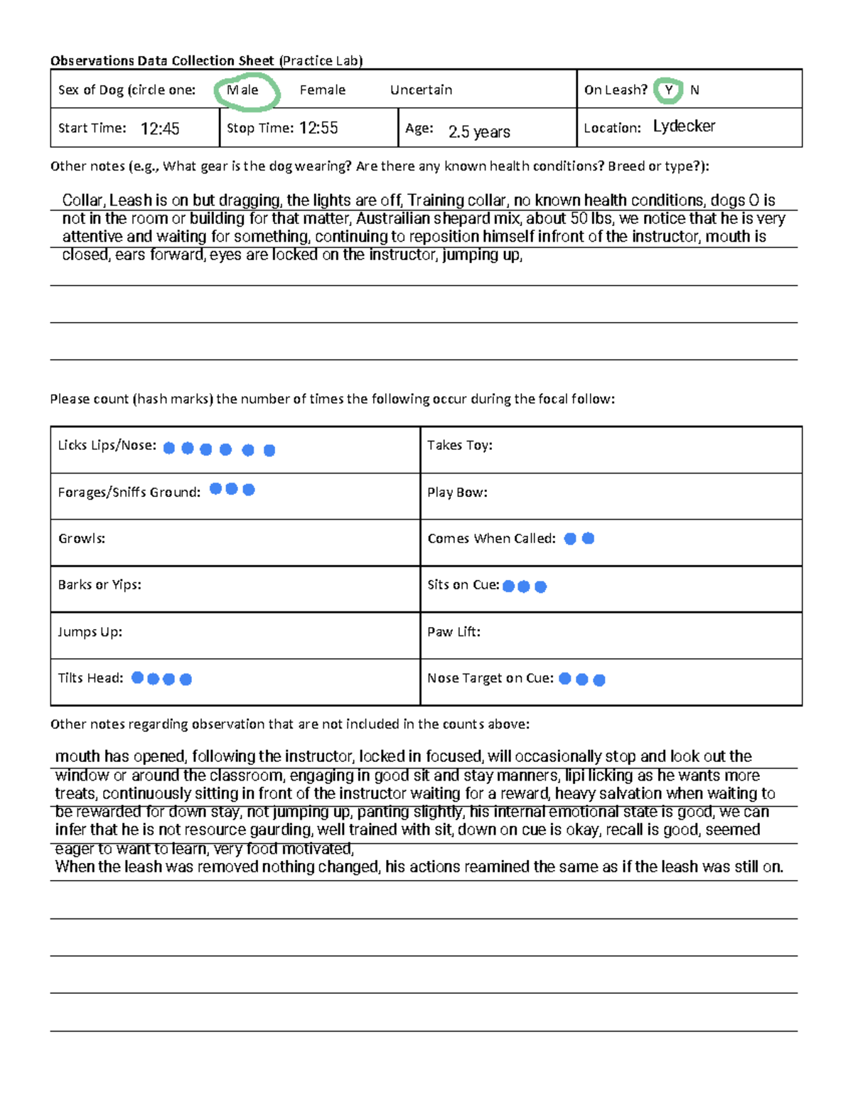 Behavior Observation Data Sheet - Observations Data Collection Sheet ...