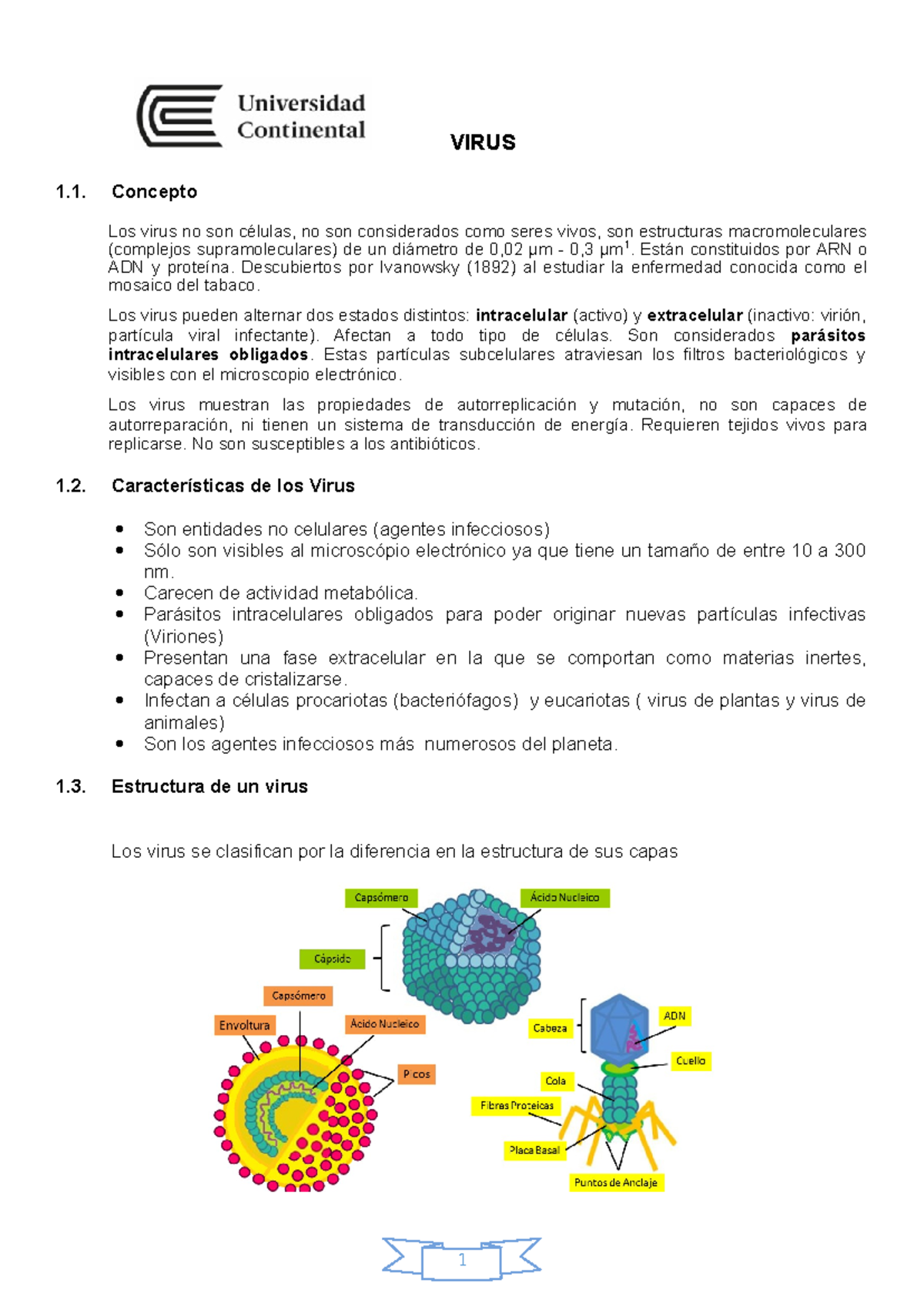 UC GUÍA Virus - aaaaaaaaa - VIRUS 1. Concepto Los virus no son células ...