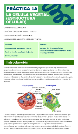 Laboratorio de Anatomía e Histología Vegetal Practica. La célula ...