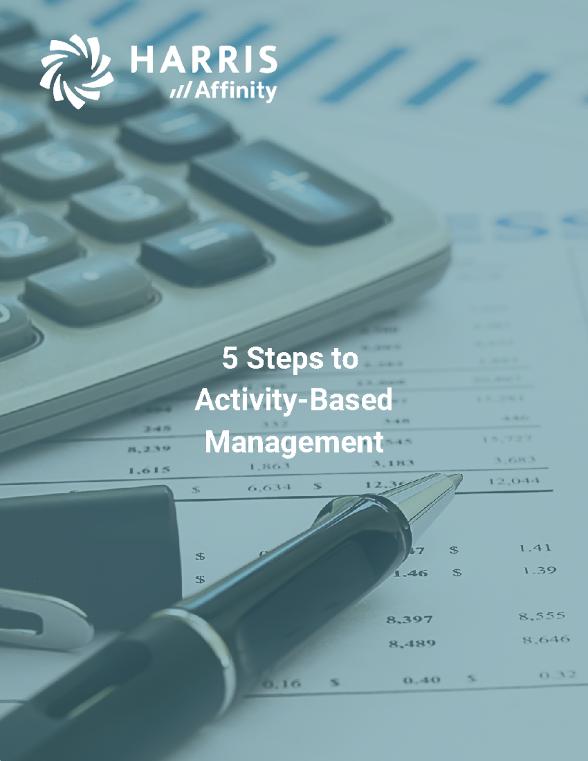 5 Steps to Activity Based Management 1 - 5 Steps to Activity-Based ...