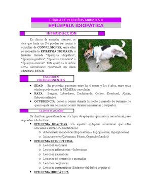 Iris-pocket-guide-es-es - La enfermedad renal crónica (ERC) se ...