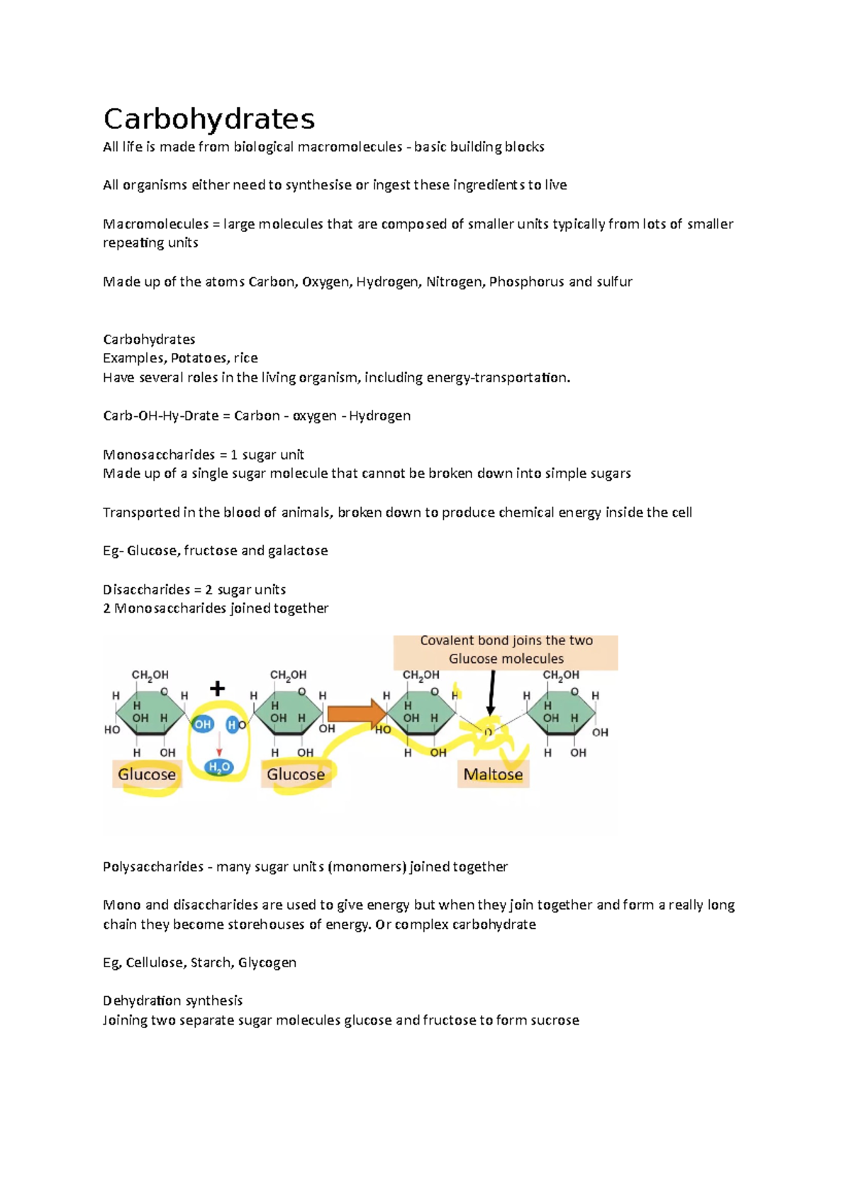 Bs1001- Carbohydrates - Carbohydrates All life is made from biological ...