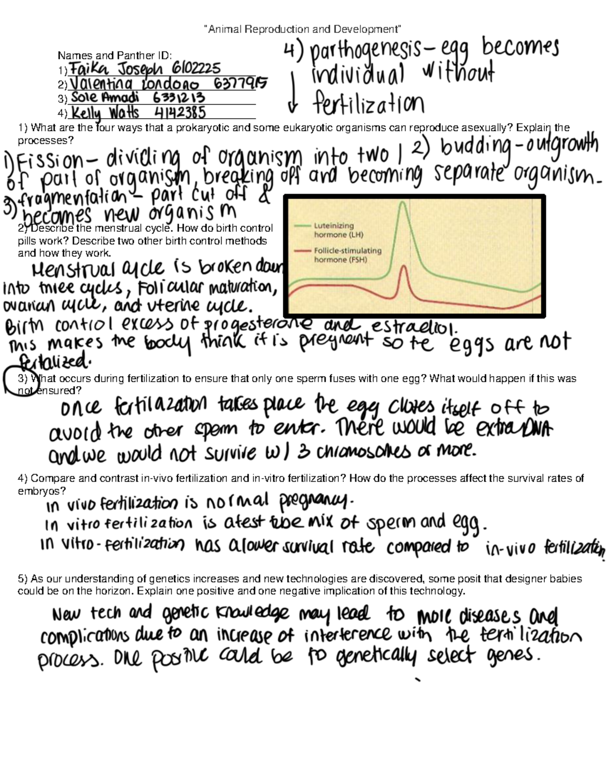 Animal reproduction and development 1 - “Animal Reproduction and ...