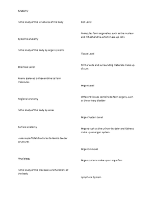 Skeletal System - notes - spongy bone tissue small needle-like pieces ...